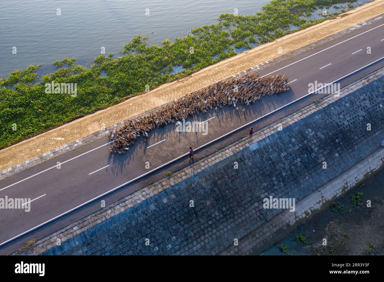 Mithamoin haor hi-res stock photography and images - Alamy