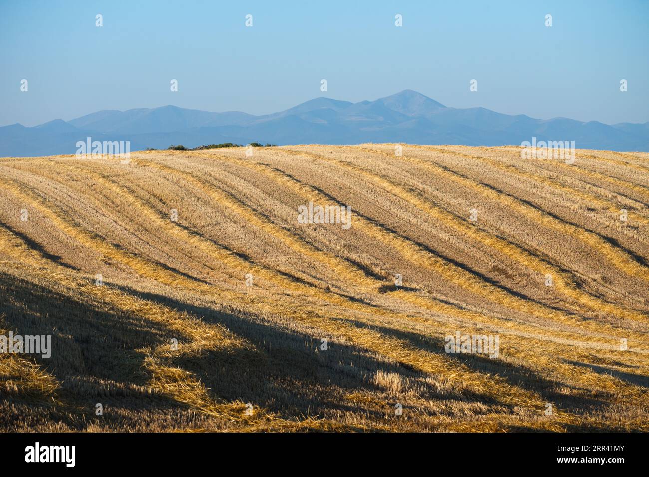 Cereales de cereales hi-res stock photography and images - Alamy