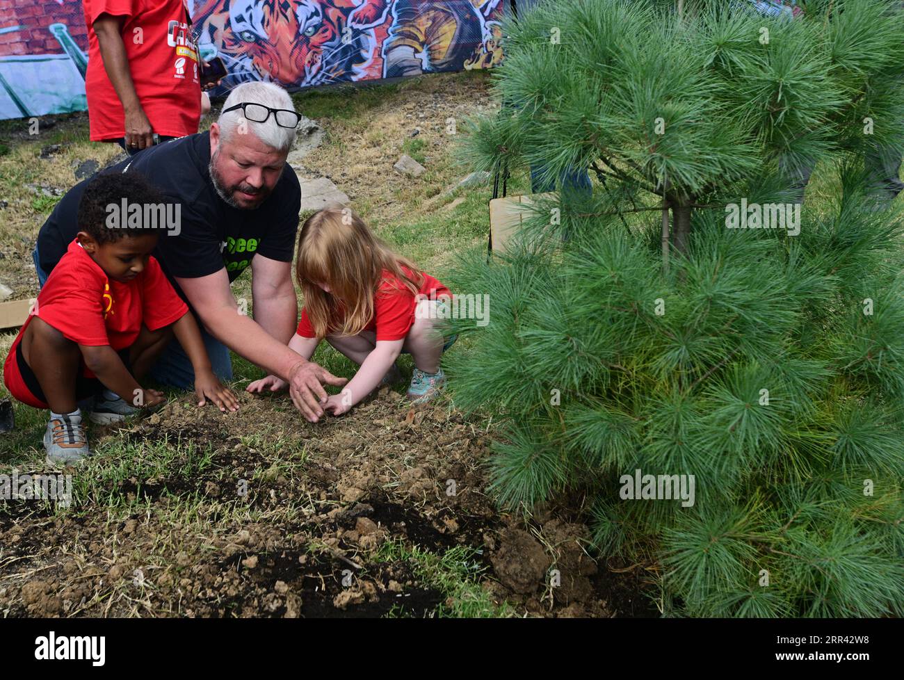 Burt trees hi-res stock photography and images - Alamy