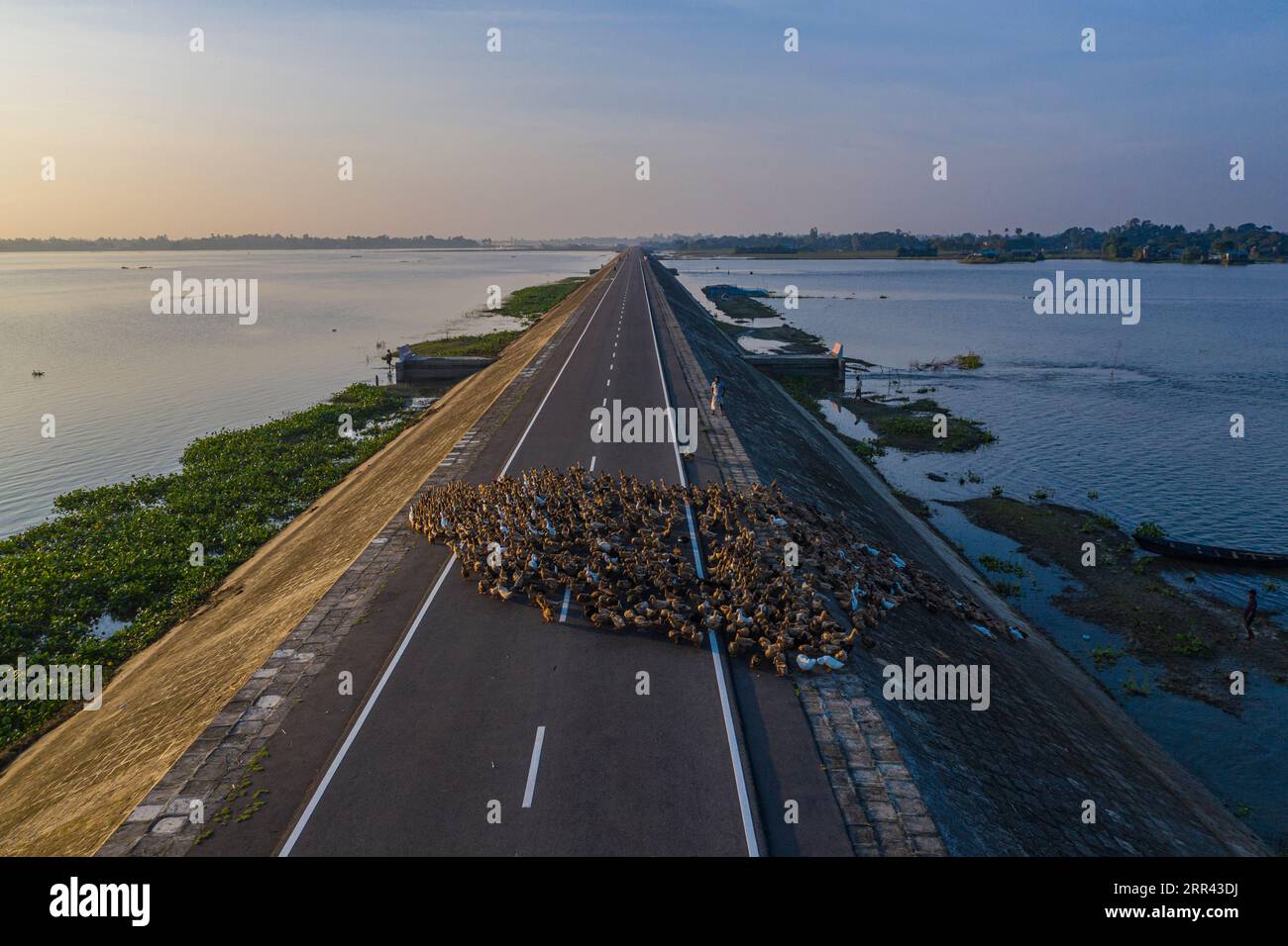 Itna-Mithamoin-Austagram all-weather road goes straight through a vast haor area in parallel ...