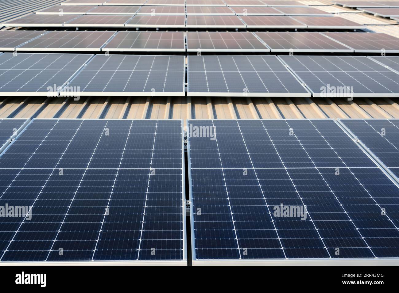 Blue photovoltaic solar panels on rooftop at solar cell farm Stock ...