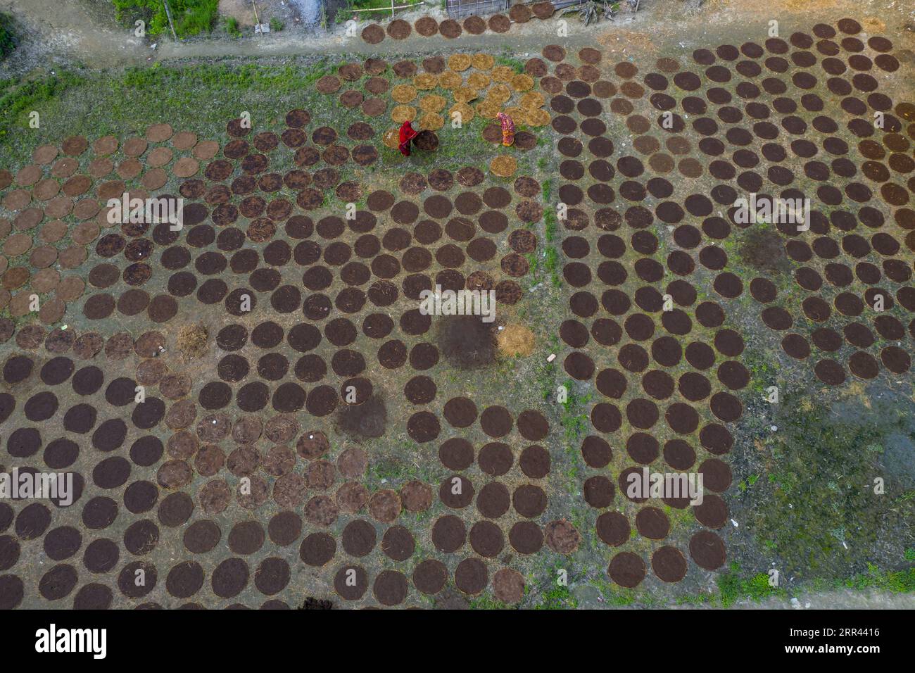 Cow dung bangladesh hi-res stock photography and images - Alamy