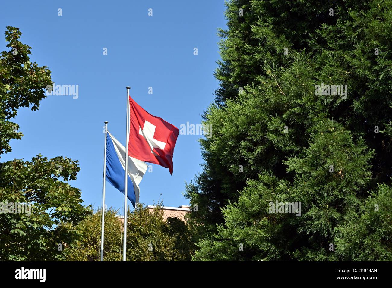 Two flags of Switzerland and Canton Zurich flying between green ...