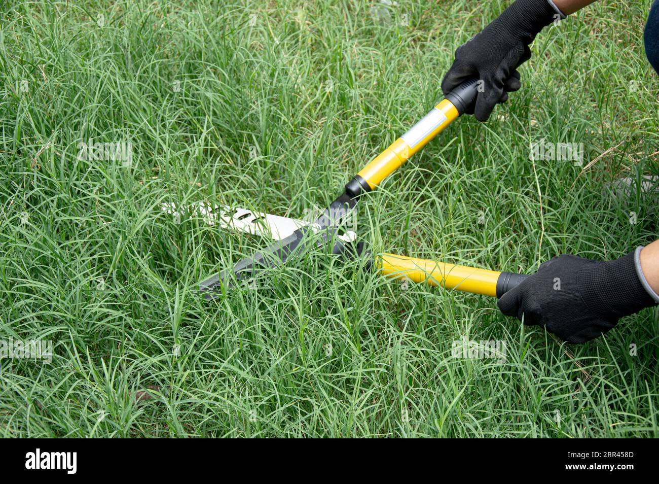 Ground one garden design hi-res stock photography and images - Alamy