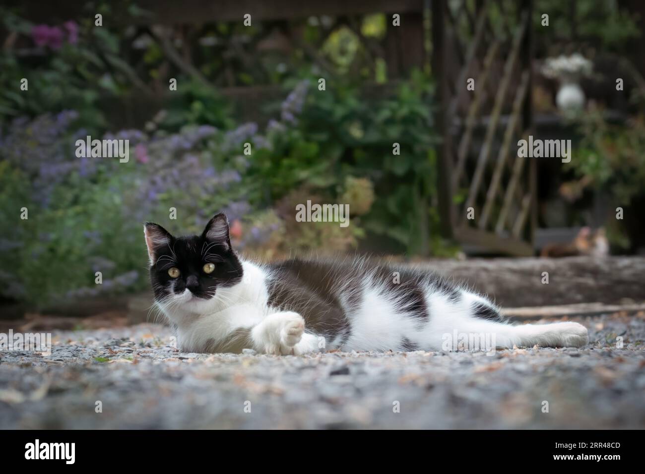 Laying down material hi-res stock photography and images - Alamy