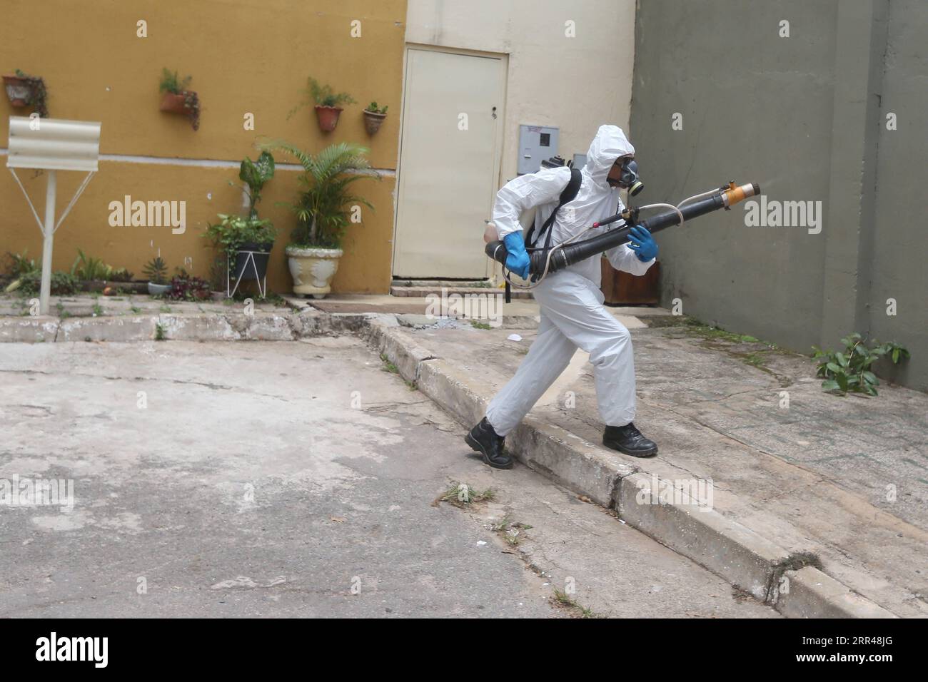 Dengue fever brazil hi-res stock photography and images - Alamy