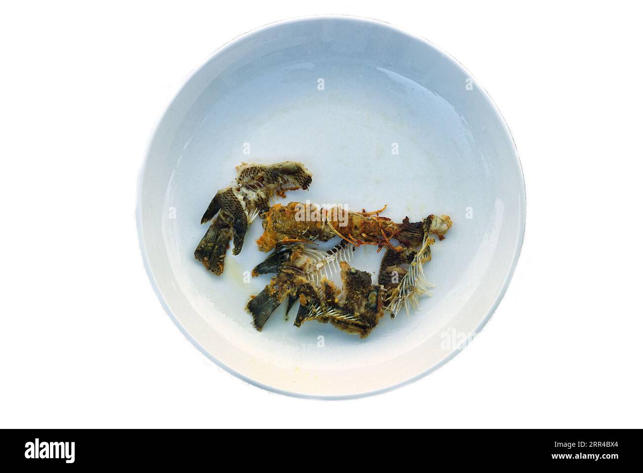 Scrap fish Cut Out Stock Images & Pictures - Alamy