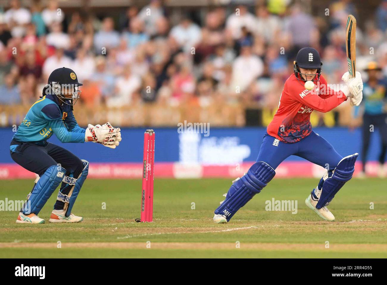 Cricket charlie dean hi-res stock photography and images - Alamy