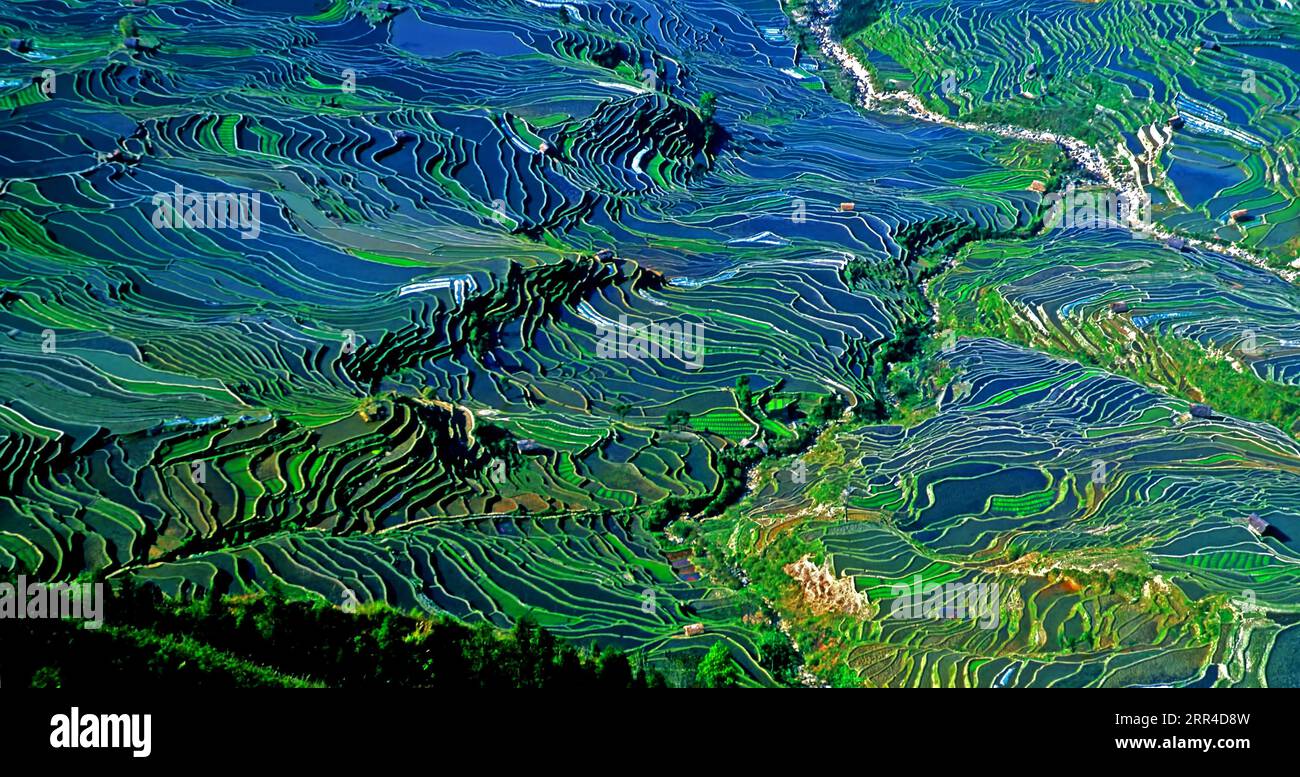 Yuanyang hani rice terraces hi-res stock photography and images - Alamy