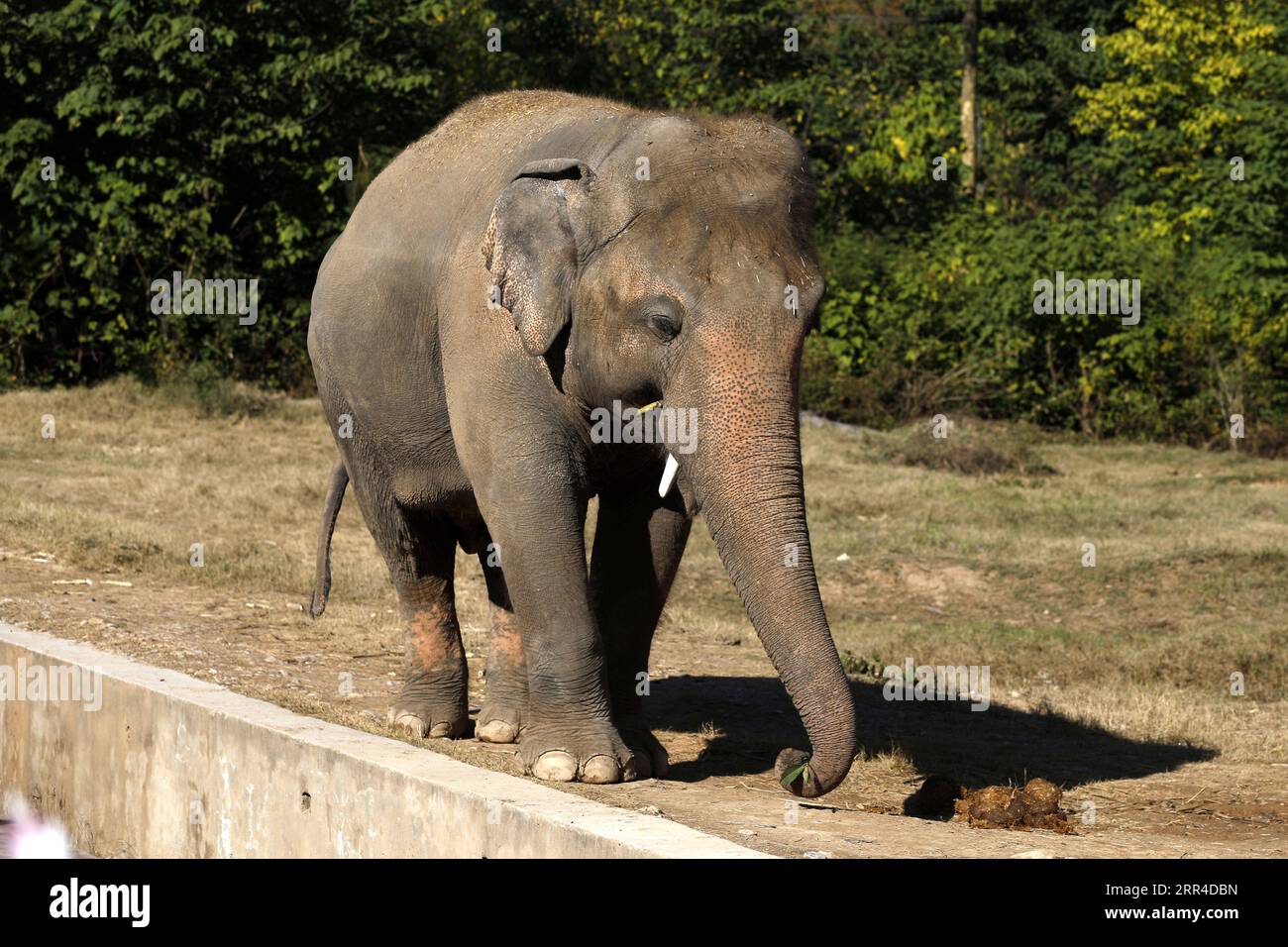 201130 -- ISLAMABAD, Nov. 30, 2020 -- Photo taken on Nov. 27, 2020 ...