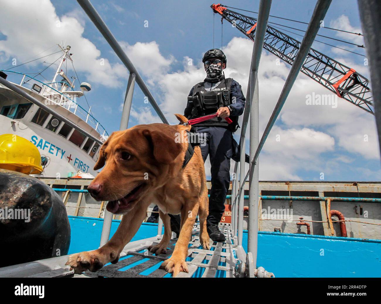 201201 -- MANILA, Dec. 1, 2020 -- A bomb-sniffing dog is seen with a ...