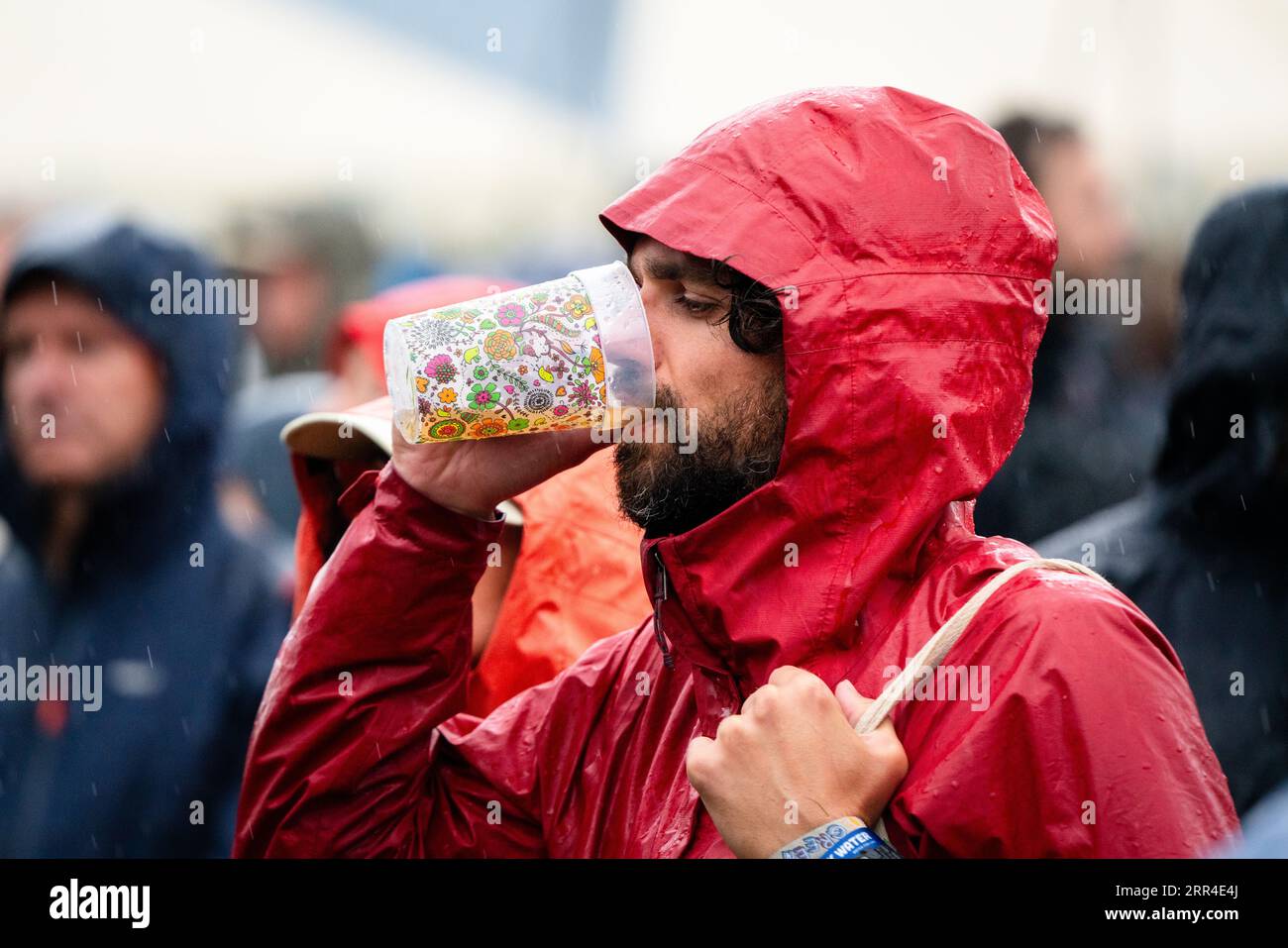 A man drinking beer in wets in the rainstorm rain and mud. Green Man ...