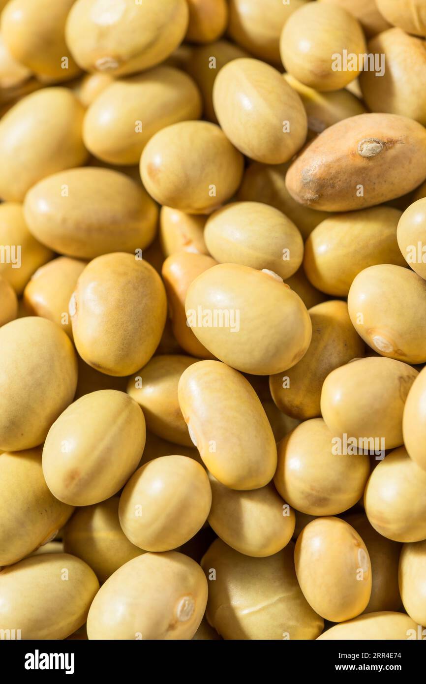 Mayacoba beans hi-res stock photography and images - Alamy