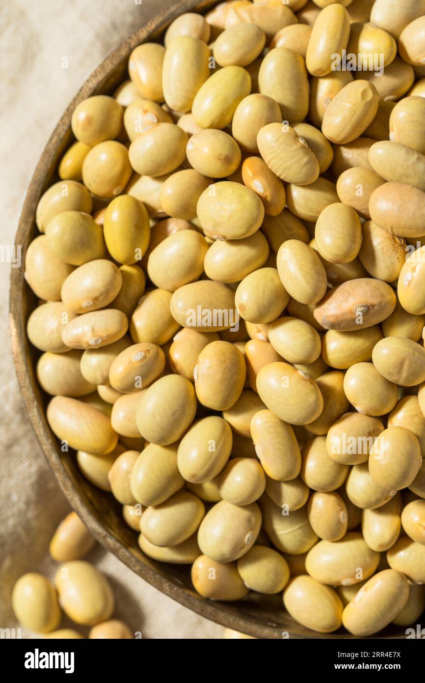 Mayacoba beans hi-res stock photography and images - Alamy