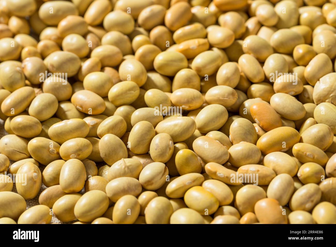 Mayacoba beans hi-res stock photography and images - Alamy