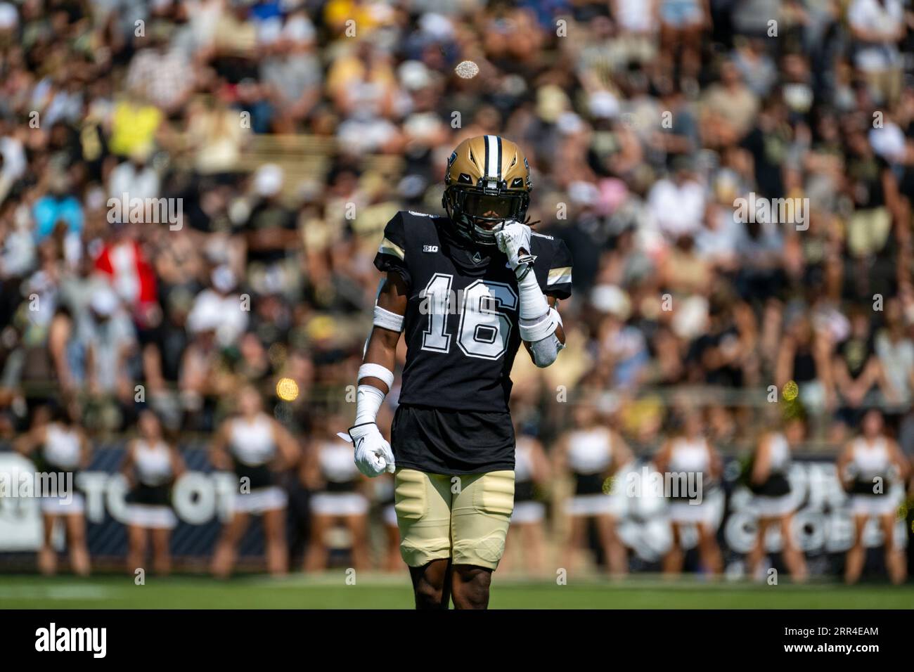Purdue defensive back Marquis Wilson (16) during an NCAA football game ...