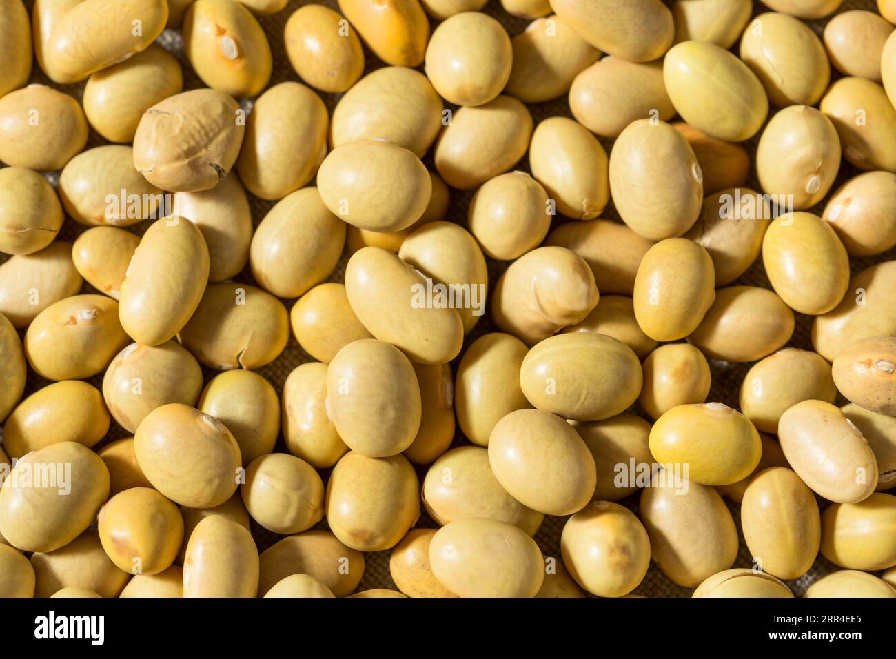 Organic Yellow Mayacoba Beans in a Bowl Stock Photo - Alamy