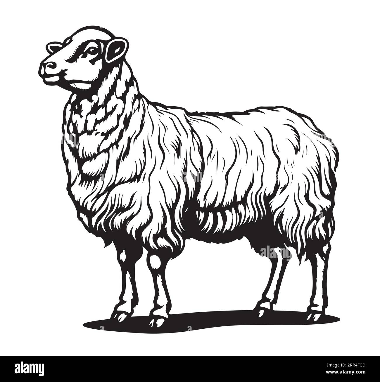 Farm sheep lamb hand drawn sketch Vector Stock Vector Image & Art - Alamy Farm sheep lamb hand drawn sketch Vector Stock Vector Image & Art - Alamy