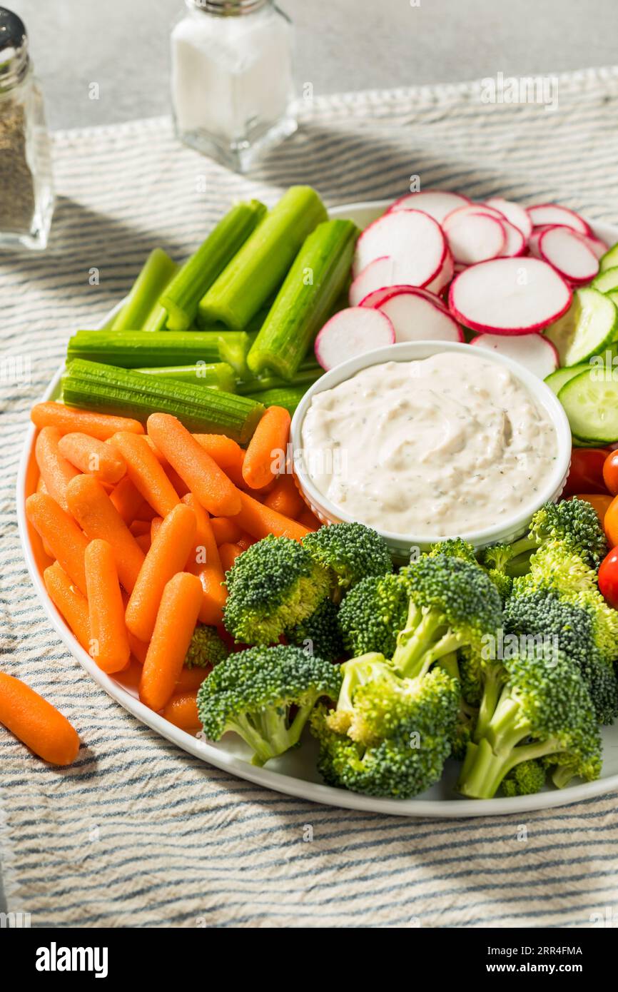 Healthy Homemade Veggie Tray Appetizer with French Onion Dip Stock ...