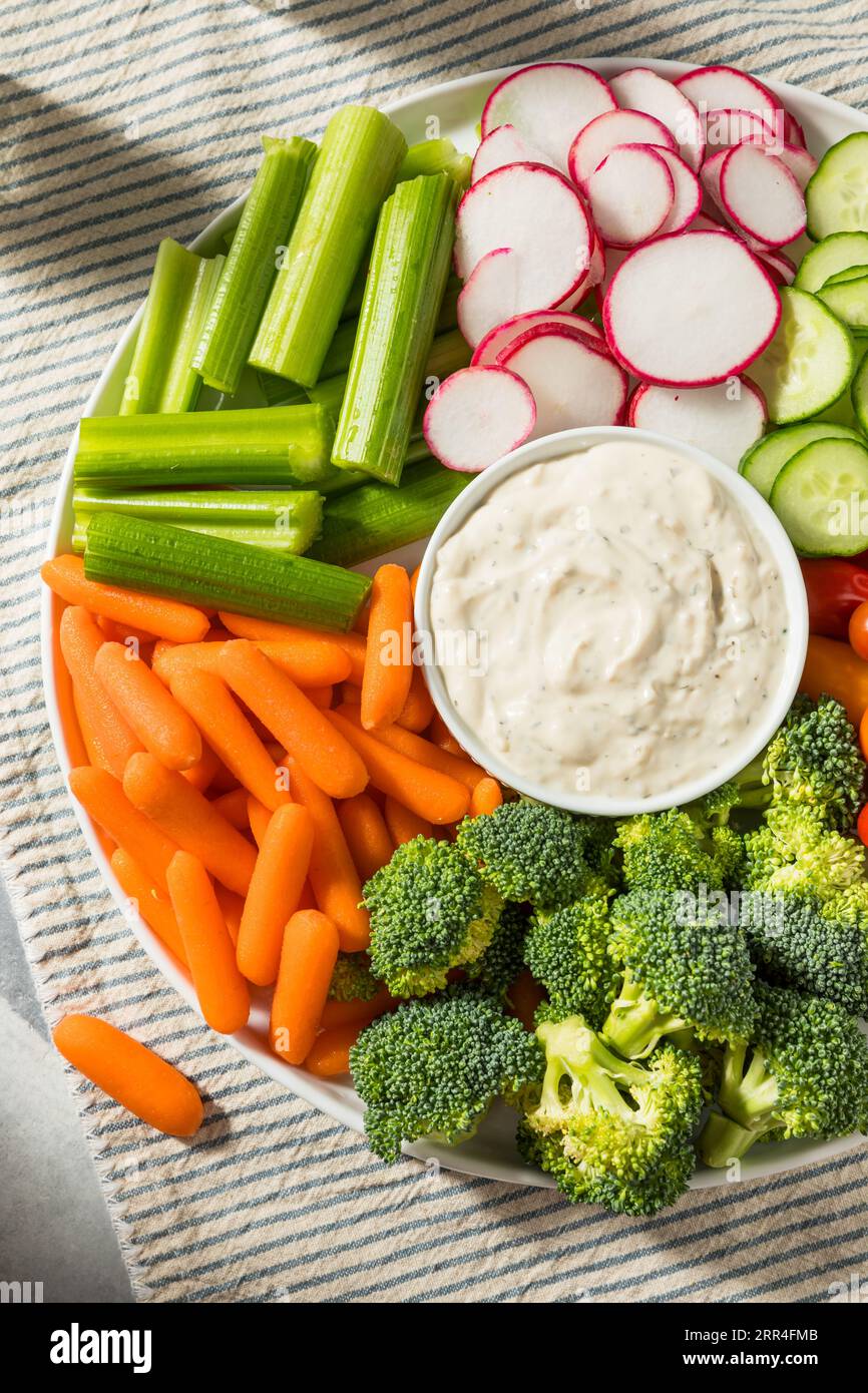 Healthy Homemade Veggie Tray Appetizer with French Onion Dip Stock ...