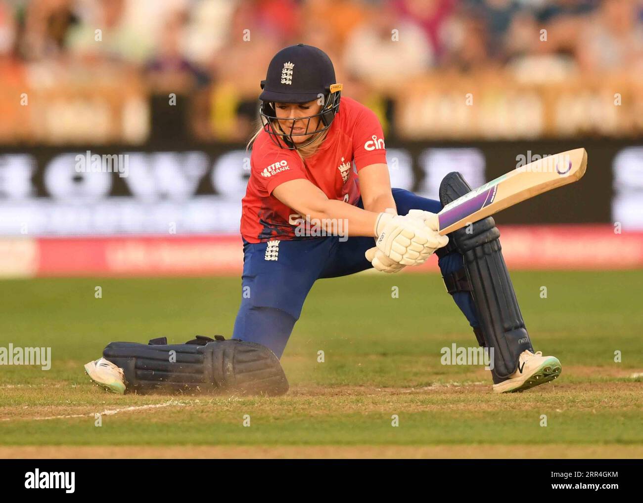 Sarah glenn cricket hi-res stock photography and images - Alamy