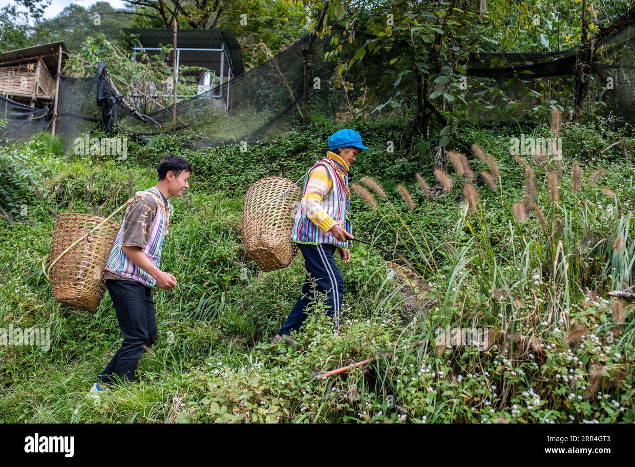 Once every 4 years hi-res stock photography and images - Alamy