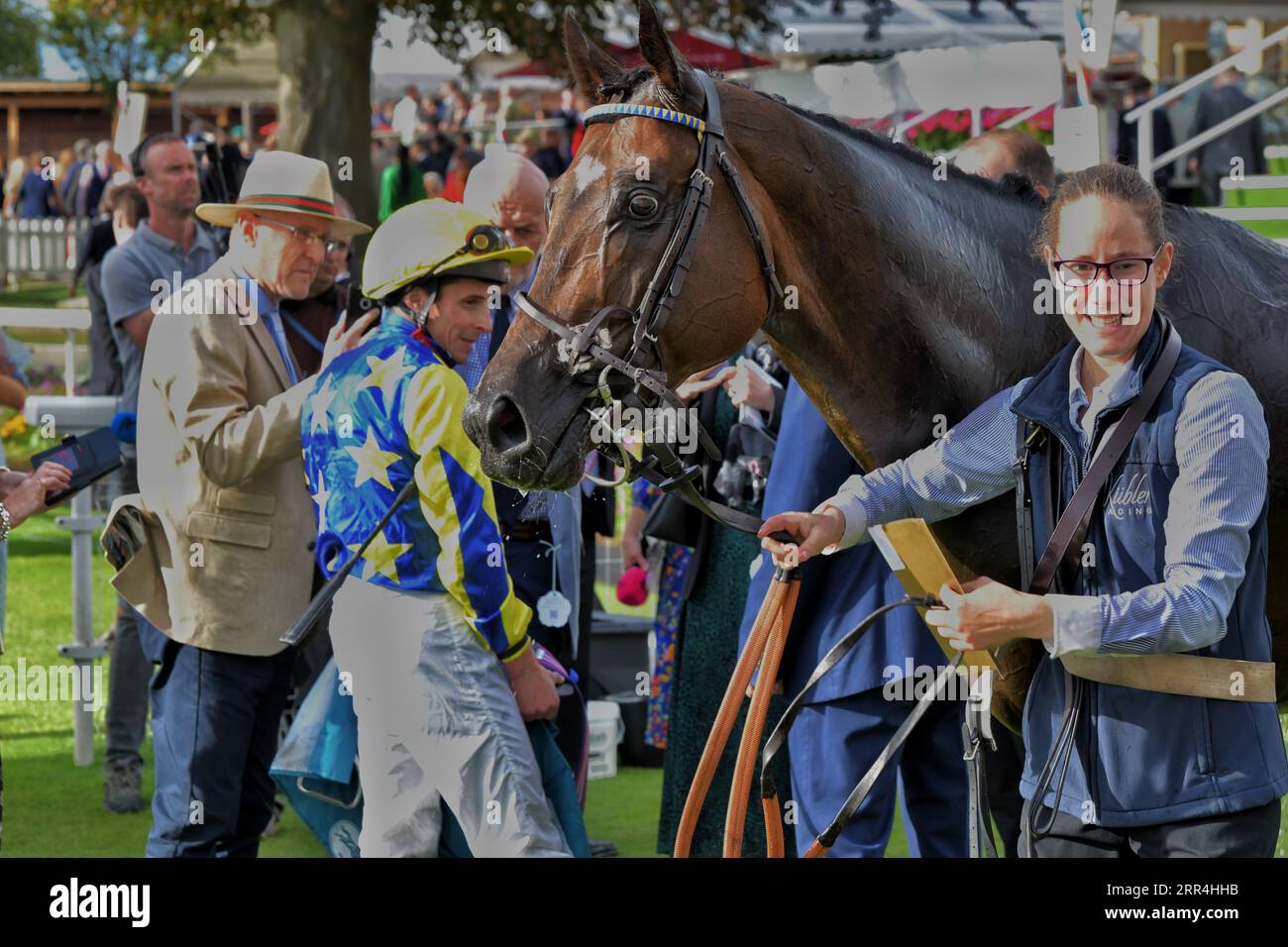 Astro king horse hi-res stock photography and images - Alamy