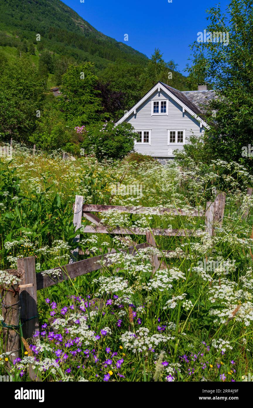 House & wildflowers, Olden Village, Vestland County, Norway Stock Photo - Alamy