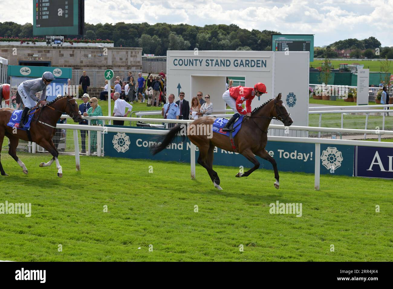 horse Spirit Dancer and jockey Oisin Orr Stock Photo - Alamy