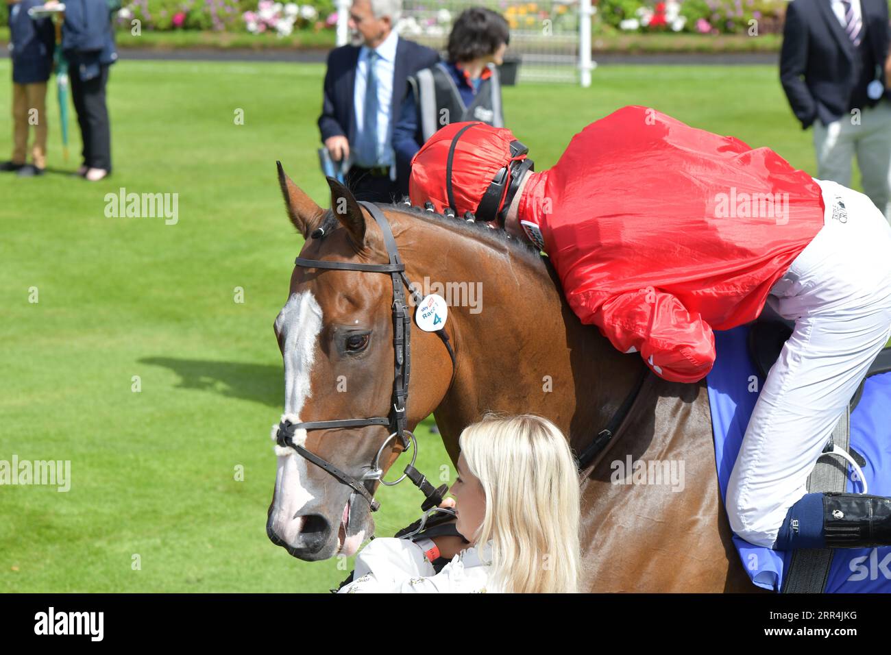 Spirit dancer horse racing hi-res stock photography and images - Alamy