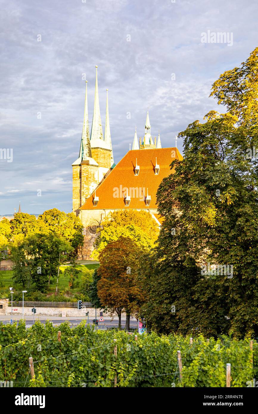 Late summer walk through the capital of Thuringia - Erfurt - Germany ...
