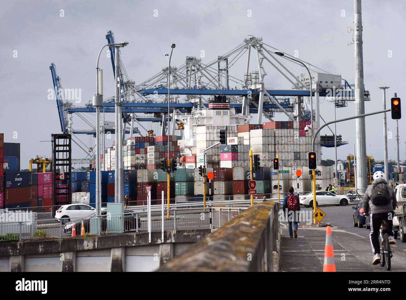 201210 -- AUCKLAND, Dec. 10, 2020 -- Photo taken on Oct. 8, 2020 shows ...