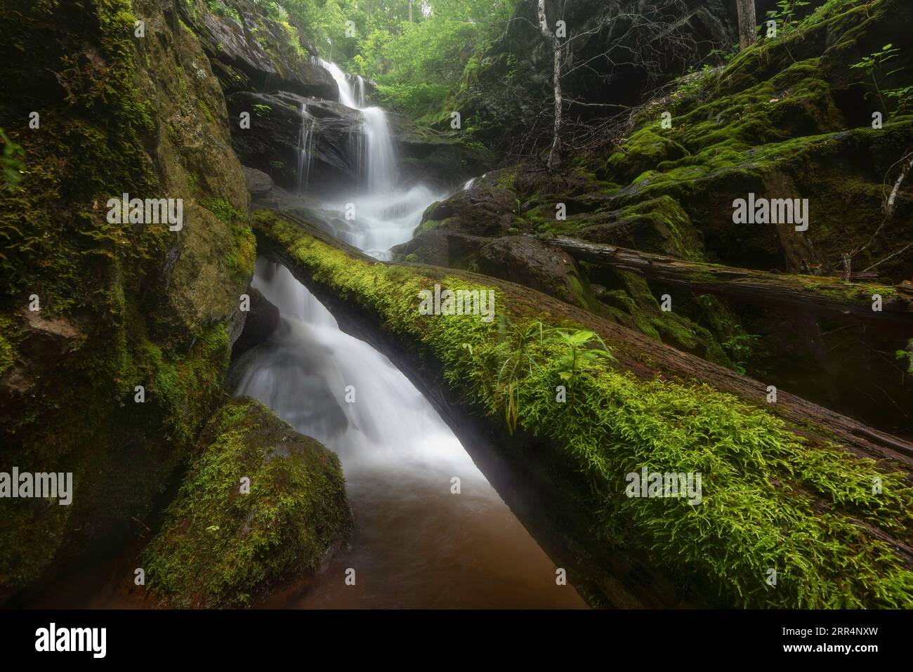 Rainforest vibes in Shenandoah National Park at Doyles River Falls ...