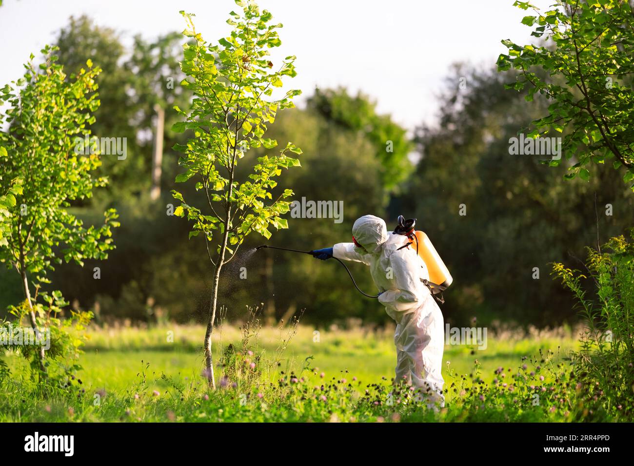Man spraying pesticide on grass hi-res stock photography and images - Alamy