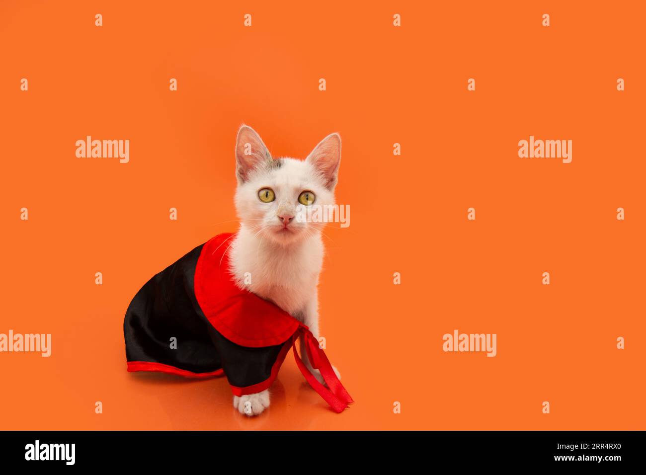Vampire mascot hi-res stock photography and images - Alamy