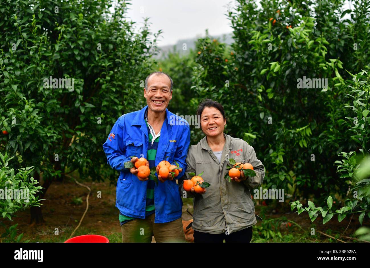 Erty alleviation hi-res stock photography and images - Alamy