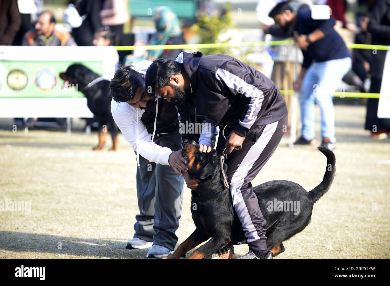 Pakistan rawalpindi dog hi-res stock photography and images - Alamy