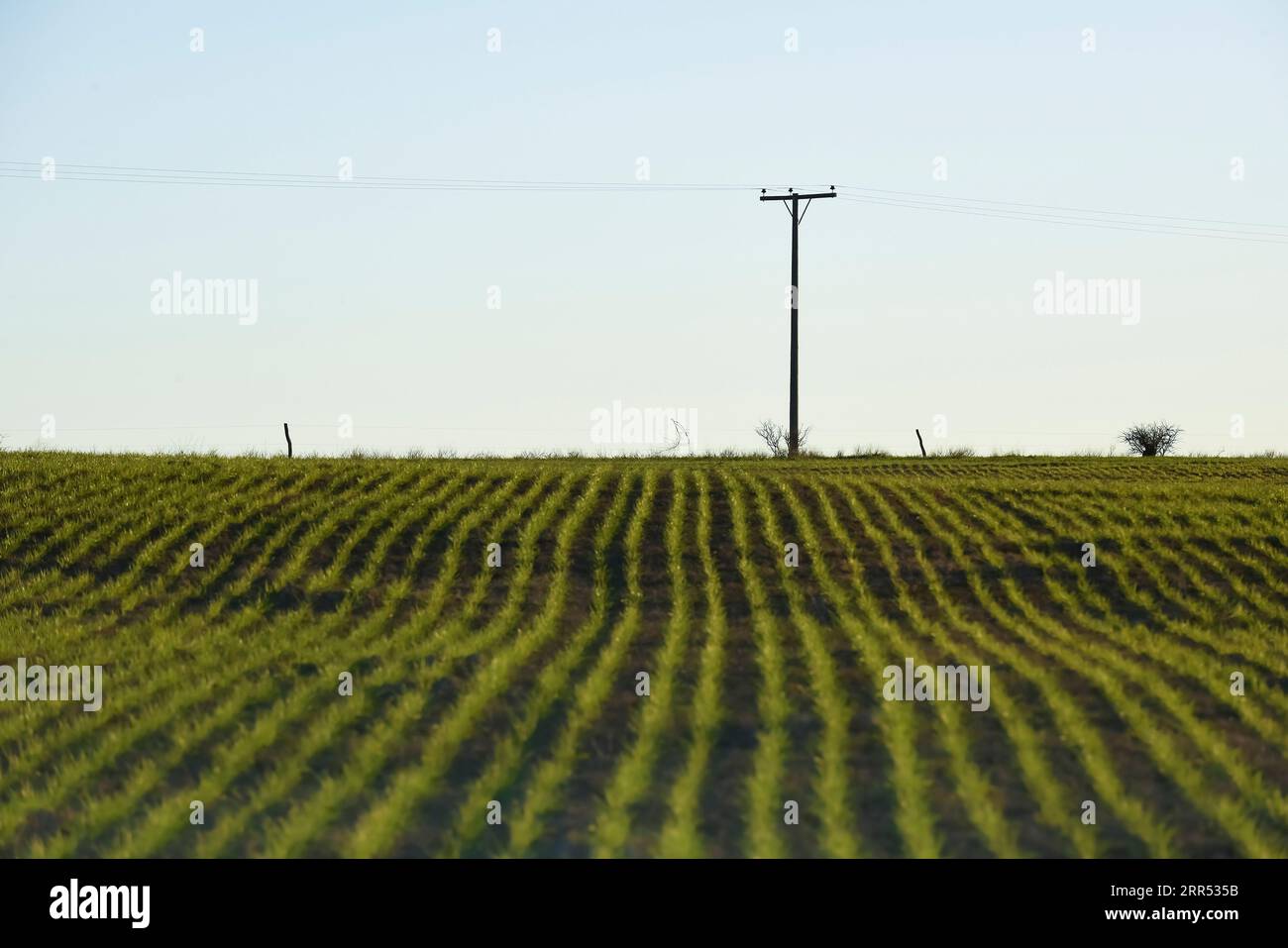 Grooves and furrows hi-res stock photography and images - Alamy