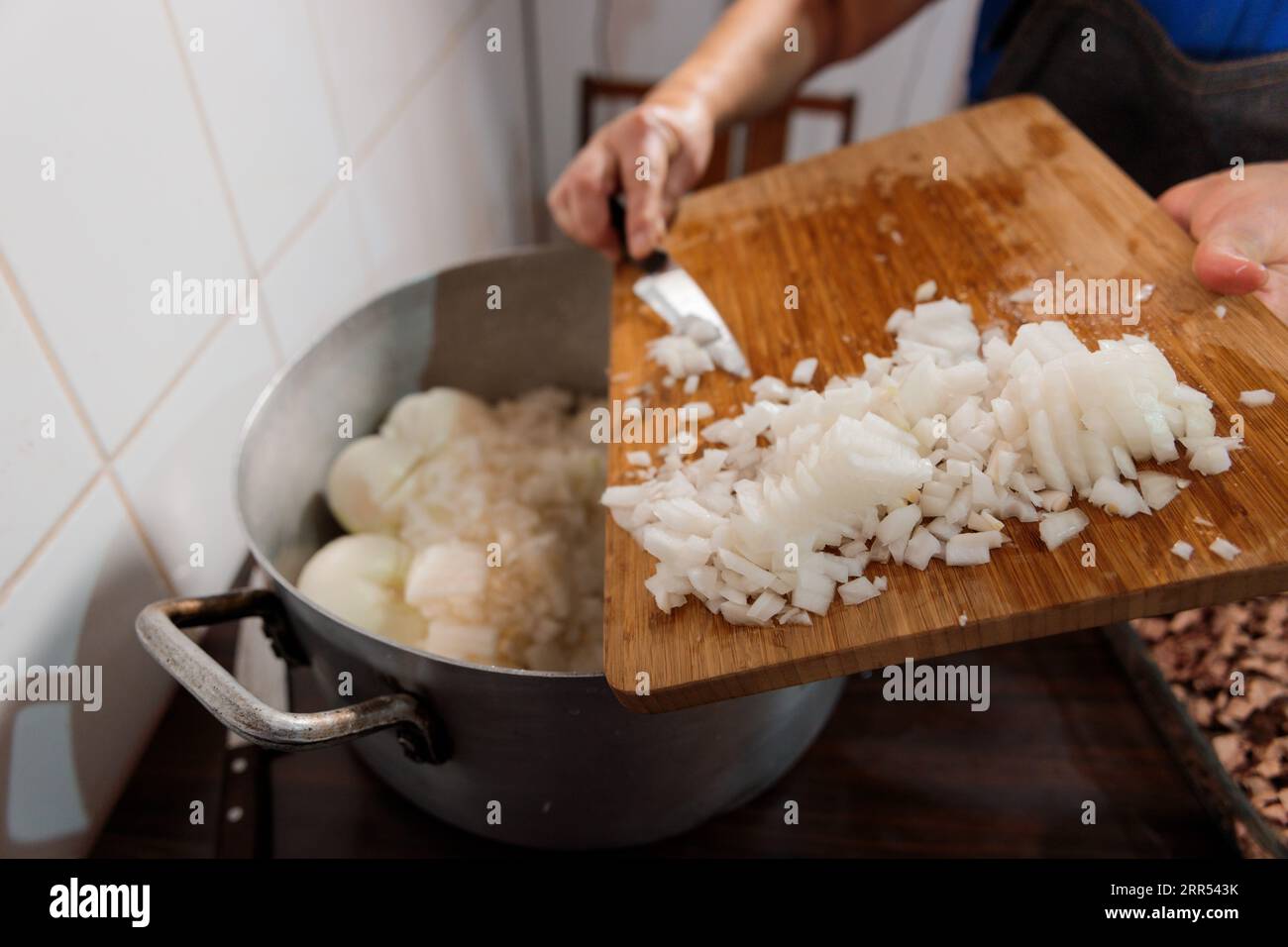 Unrecognizable latin woman chopping onion and meat an dropping in a pot ...