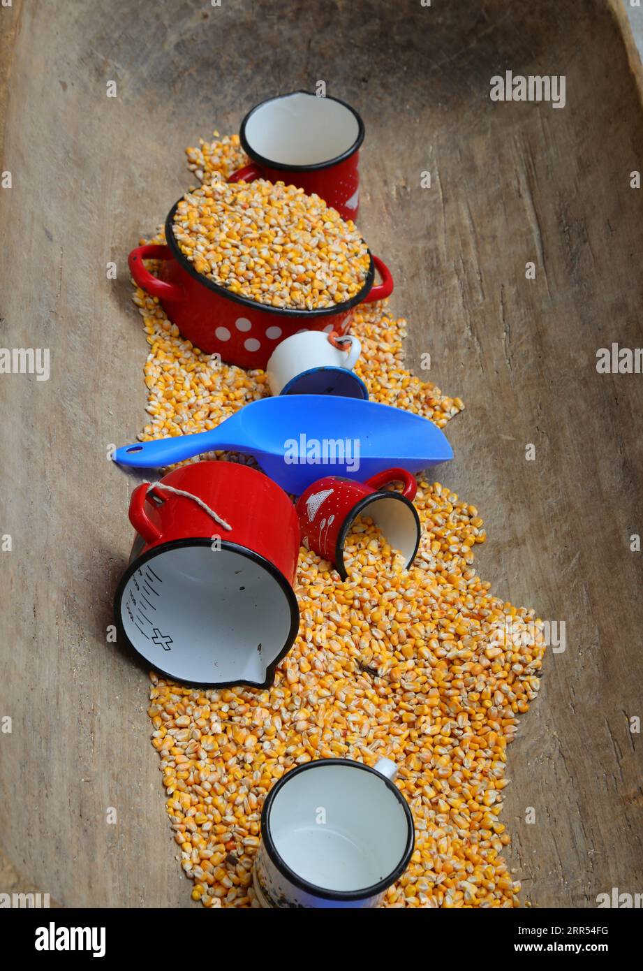 pile of dry corn seeds with container and scoops for kids to play on ...