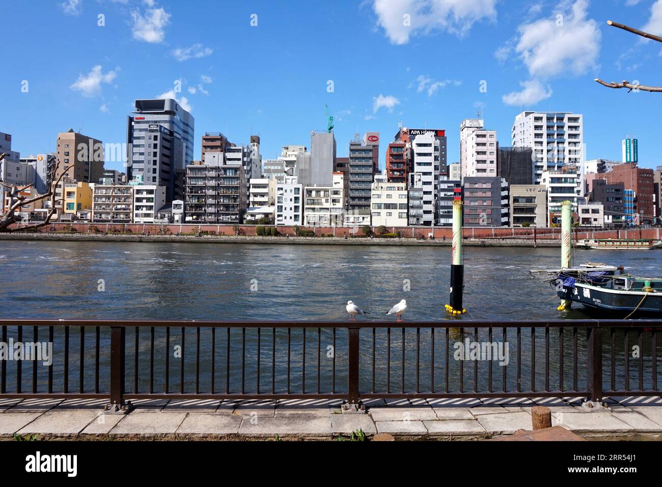 Skyline view of Taito City and the Sumida River from Sumida City, Tokyo ...