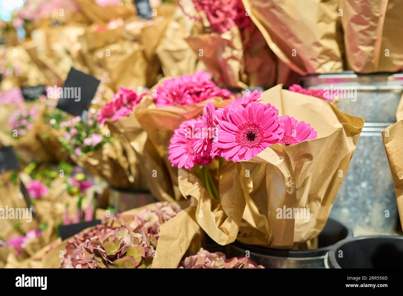 Flower shop, close-up of fresh flowers in buckets, pink gerberas Stock ...