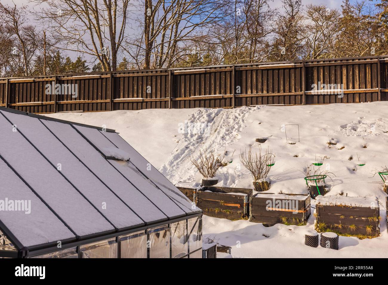 Beautiful view of snowy backyard on bright winter day Stock Photo - Alamy