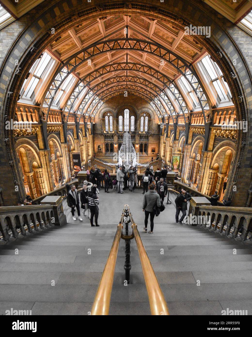 Natural History Museum in London, symmetrical view of Hintze Hall with ...