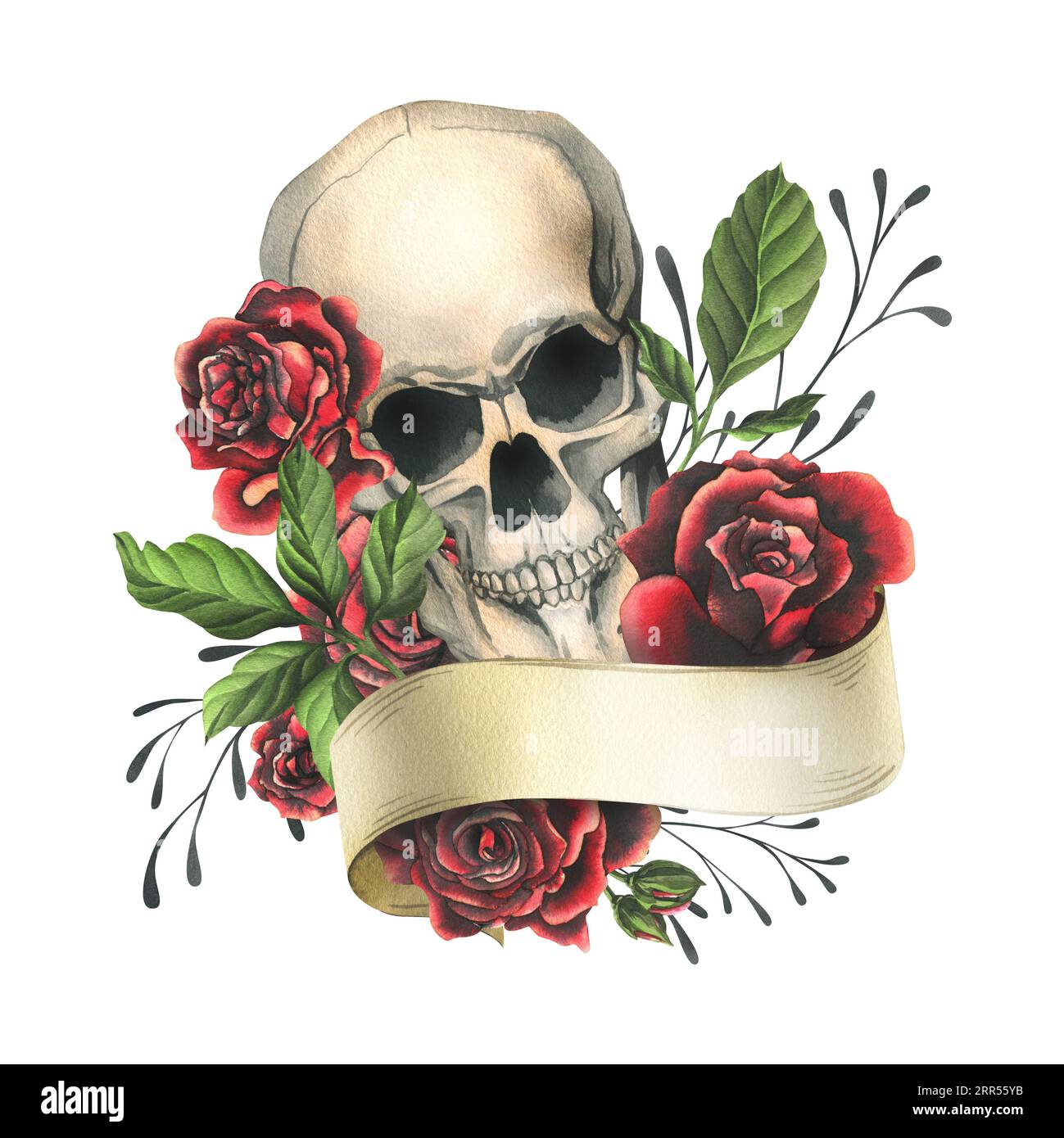 Human skull with ribbon for text, red rose flowers and leaves. Hand ...