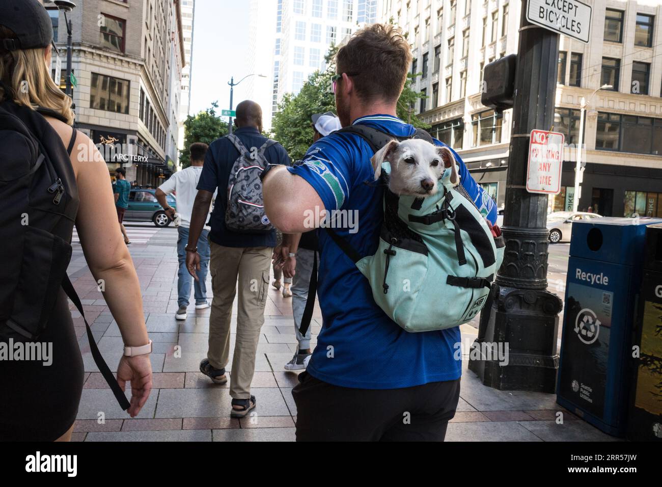 Seattle, USA. 8 Aug, 2023. A couple with a dog in a backpack in ...