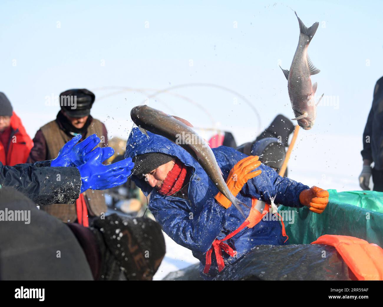 201228 -- BEIJING, Dec. 28, 2020 -- Fishermen sort fishes during winter ...
