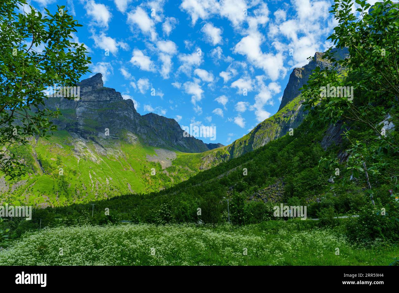 Beautiful classic Norwegian summer landscape in the month of July ...
