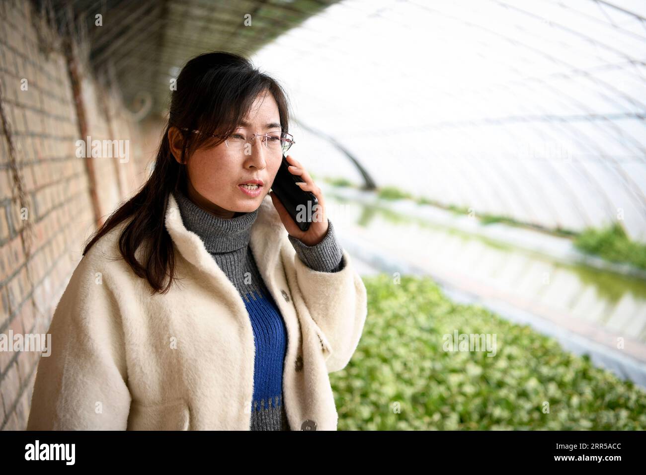 Greenhousesto hi-res stock photography and images - Alamy