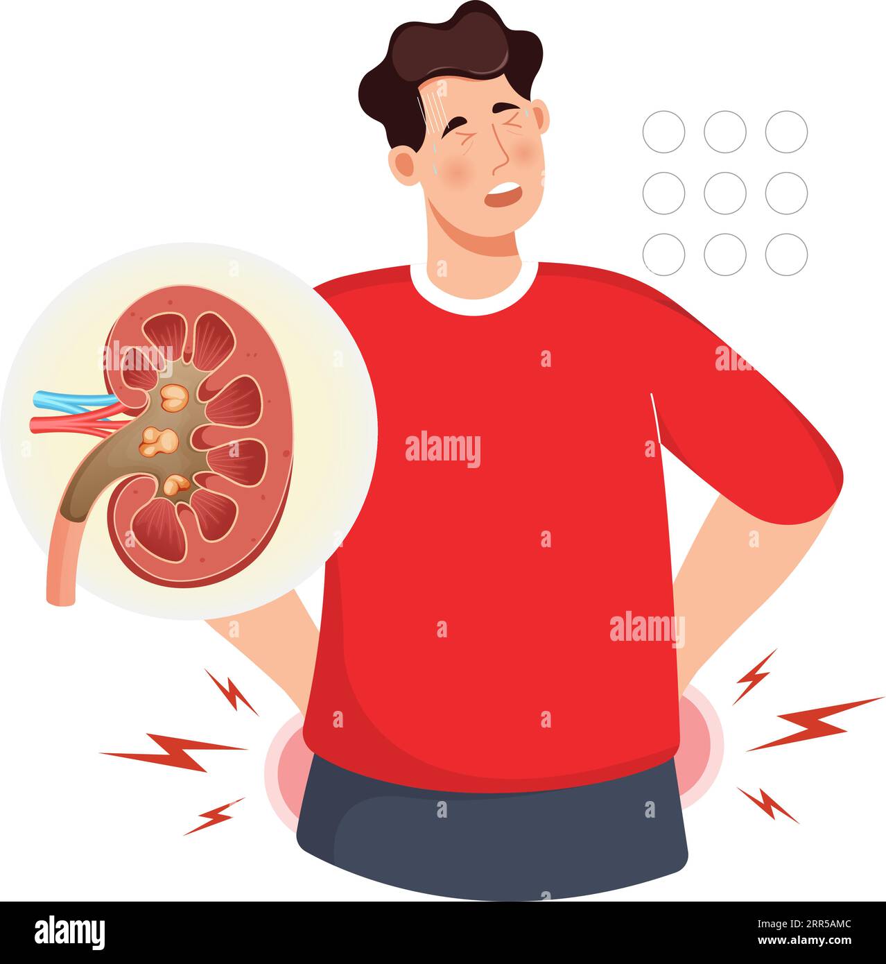 Kidney Stone Pain - Back Pain - Stock Illustration as EPS 10 File Stock ...